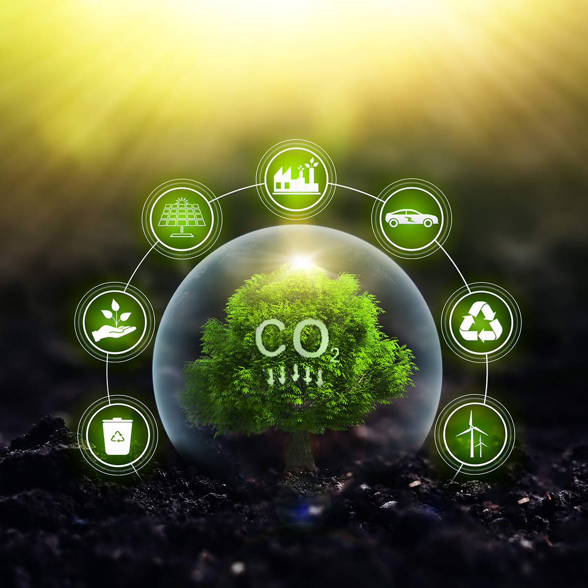 Article | Embedding ESG Into Business Processes